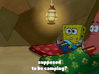 Spongebob Campfire Gif