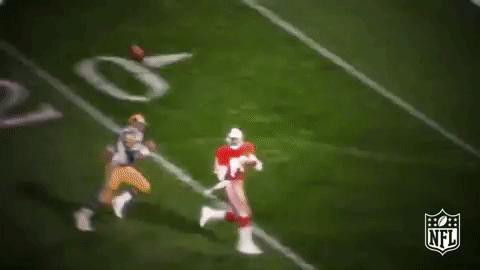 San Francisco 49Ers GIF by NFL - Find & Share on GIPHY