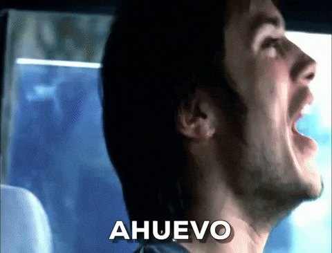 Mochate GIFs - Get the best GIF on GIPHY