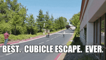 Cubicle GIFs - Find & Share on GIPHY