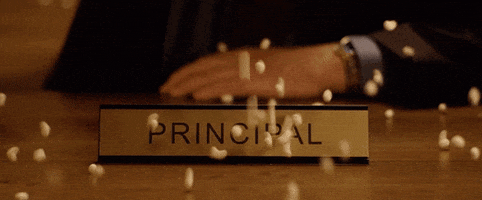 Pricipal GIFs - Get the best GIF on GIPHY