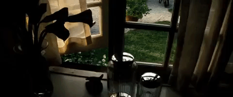 Minecraft 28 GIFs - Get the best GIF on GIPHY