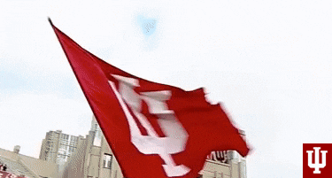 Indiana Hoosiers GIFs - Get the best GIF on GIPHY