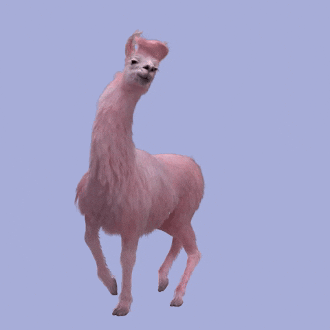 Weg-hier GIFs - Get the best GIF on GIPHY