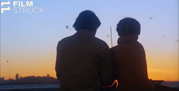 Criterion Collection Sunset GIF by FilmStruck - Find & Share on GIPHY