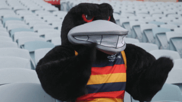 Claude GIFs - Find & Share on GIPHY