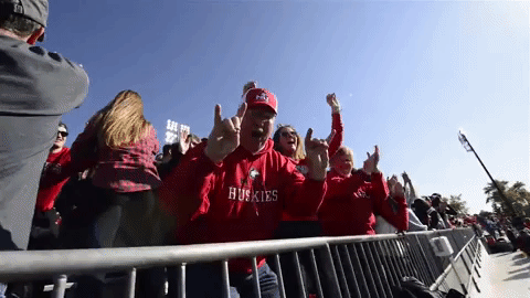Niu-fans GIFs - Get the best GIF on GIPHY