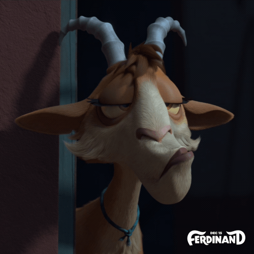 - Find & Share on GIPHY