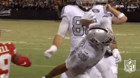 Michael Crabtree Catch Gif