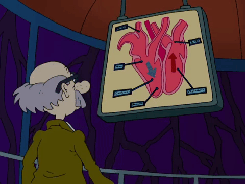 The Old & The Restless GIFs on GIPHY - Be Animated