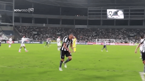 Botafogo Futebol E Regatas GIF by Botafogo - Find & Share on GIPHY