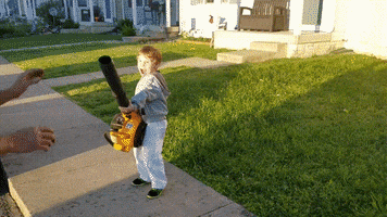 Leaf Blower GIFs - Find & Share on GIPHY