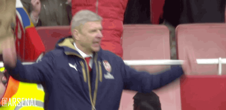Happy Premier League GIF by Arsenal - Find & Share on GIPHY