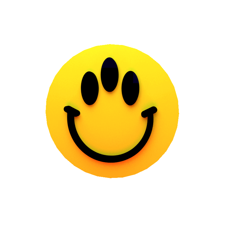 Smiley House Music Sticker by Big Beat Records for iOS & Android | GIPHY