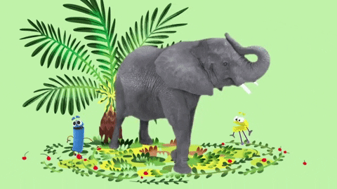 Elephant Dance GIFs - Get the best GIF on GIPHY