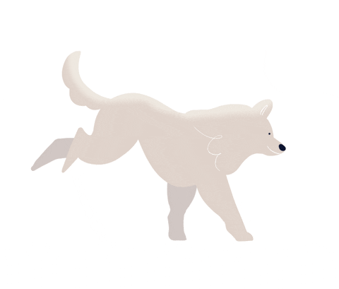 Animation Running GIF - Find & Share on GIPHY