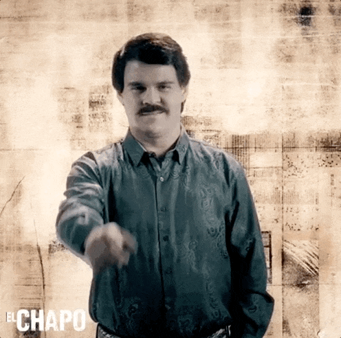 #Chapo #Netflix #Narco #Politics GIF - Find & Share on GIPHY
