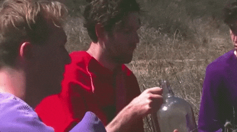 King-gizzard-and-the-lizard-wizard GIFs - Get the best GIF on GIPHY