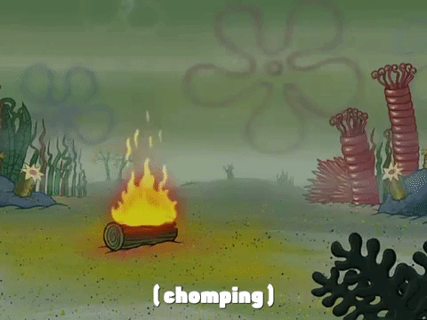 Spongebob Campfire Gif