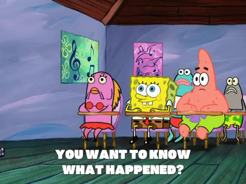Season 6 GIF by SpongeBob SquarePants - Find & Share on GIPHY