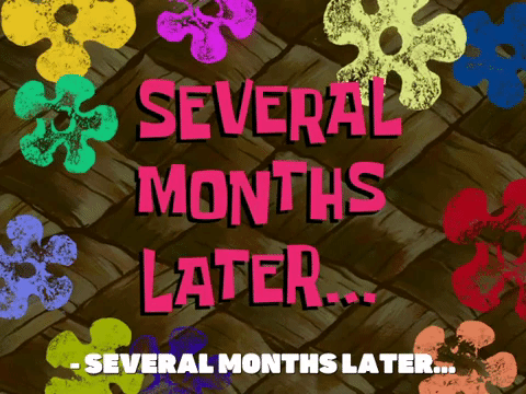 Several-months-later GIFs - Get the best GIF on GIPHY