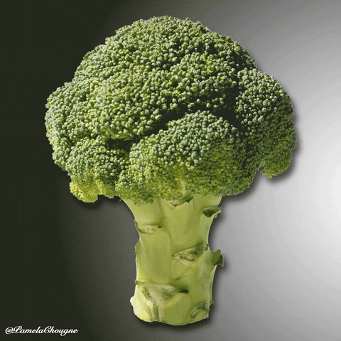 Brocolis GIFs - Get the best GIF on GIPHY