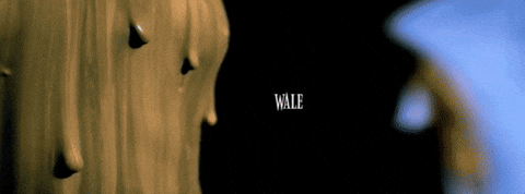 Mfa-columbia GIFs - Get the best GIF on GIPHY