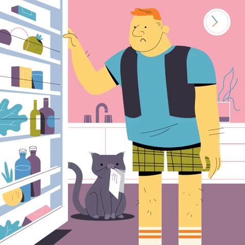 Raiding The Fridge GIFs - Get the best GIF on GIPHY