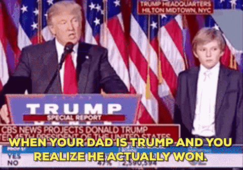 Presidential Election Trump GIF by Election 2016 - Find & Share on GIPHY