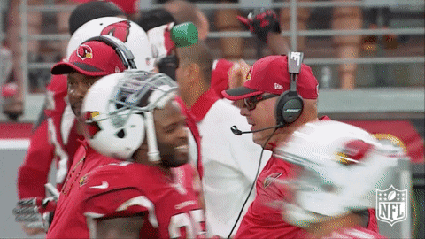 Arizona Cardinals Football GIF by NFL - Find & Share on GIPHY