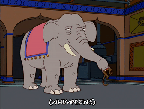 Episode 17 Elephant GIF by The Simpsons - Find & Share on GIPHY