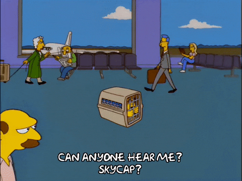 Can-anyone-hear-me GIFs - Get the best GIF on GIPHY