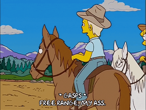 Free Range Chicken GIFs - Get the best GIF on GIPHY