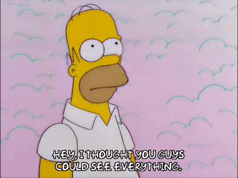 Homer Simpson Pointing Fingers GIF - Find & Share on GIPHY