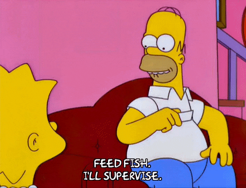 Feeding-fish GIFs - Get the best GIF on GIPHY