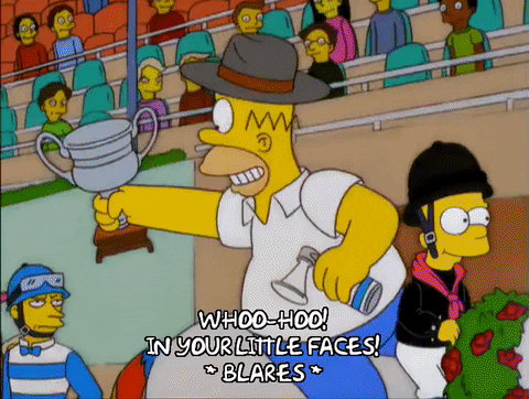 Homer Simpson Episode 13 GIF - Find & Share on GIPHY