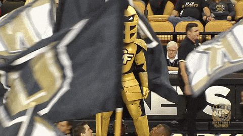 I-love-ucf GIFs - Get the best GIF on GIPHY