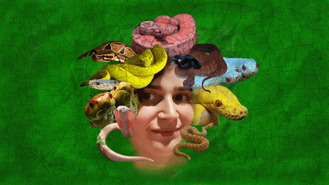 Greek Mythology GIFs - Get the best GIF on GIPHY