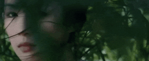 Ziyi Zhang GIF by Crouching Tiger, Hidden Dragon - Find & Share on GIPHY