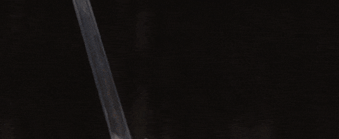 GIF by Crouching Tiger, Hidden Dragon - Find & Share on GIPHY
