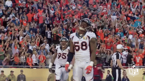 Super Bowl Football GIF by NFL - Find & Share on GIPHY