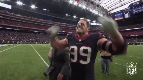 Excited Houston Texans GIF by NFL - Find & Share on GIPHY