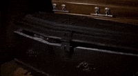 Vampire Coffin Gif
