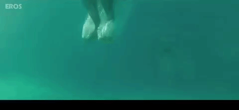 Go-goa-gone GIFs - Get the best GIF on GIPHY