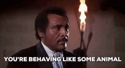Animals Behaving Like Humans GIFs - Get the best GIF on GIPHY