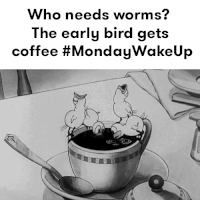 Early Bird Gets The Worm Gif