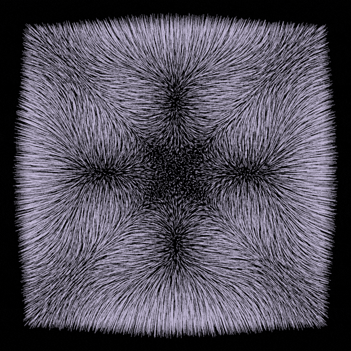 Black And White Loop GIF by roberthruska - Find & Share on GIPHY