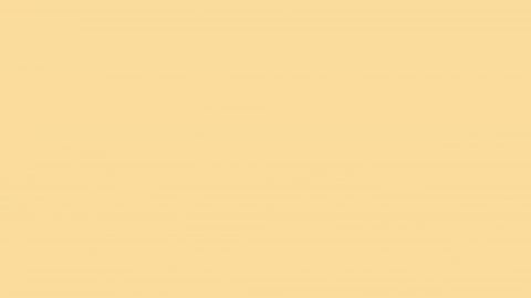 Chicago-rail GIFs - Get the best GIF on GIPHY