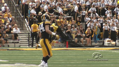 Iowa Hawkeyes Football GIF by University of Iowa Hawkeyes Athletics ...