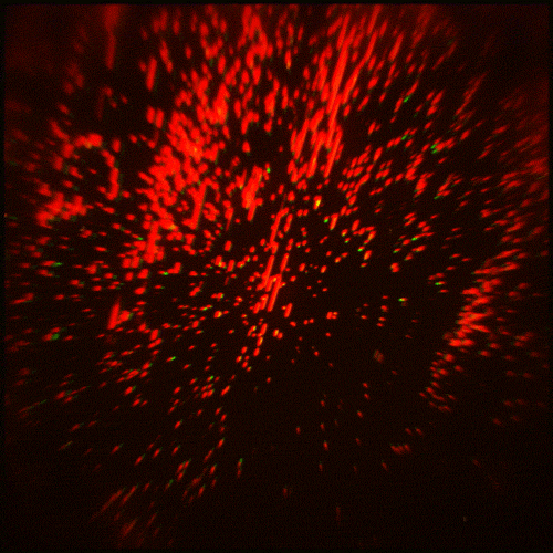 Glitch Fire GIF by Erica Anderson - Find & Share on GIPHY